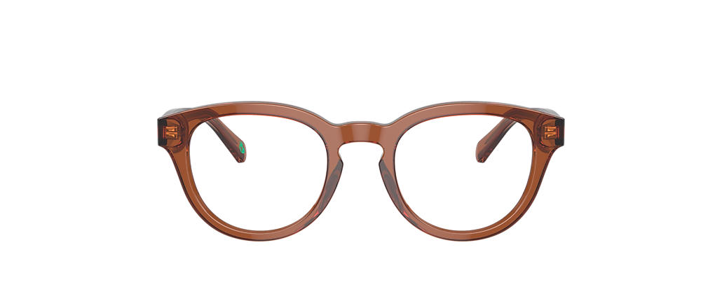 Polo Ralph Lauren PH2262 Glasses with Shiny Transparent Brown frame | OPSM